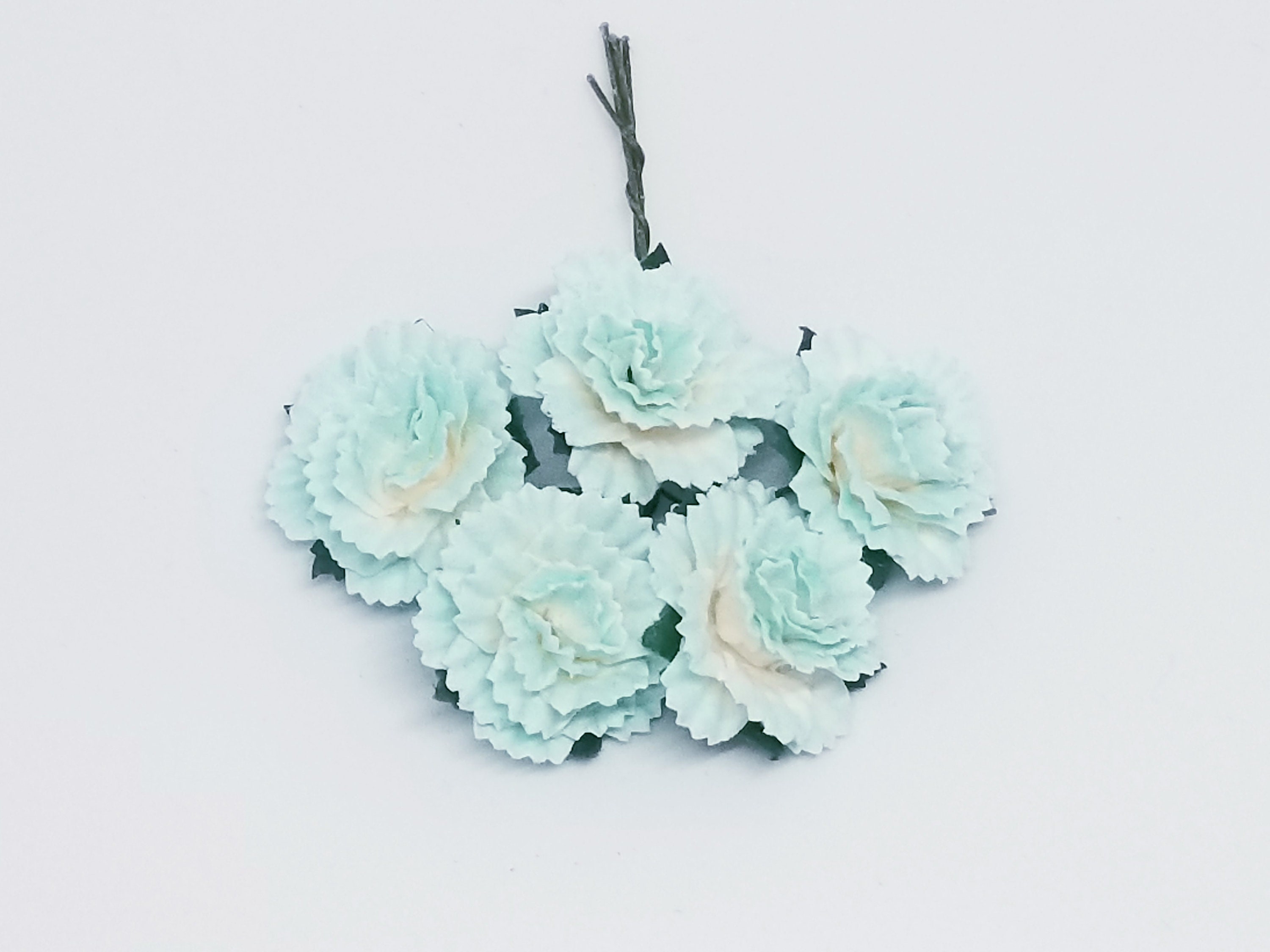 Light Blue Carnations