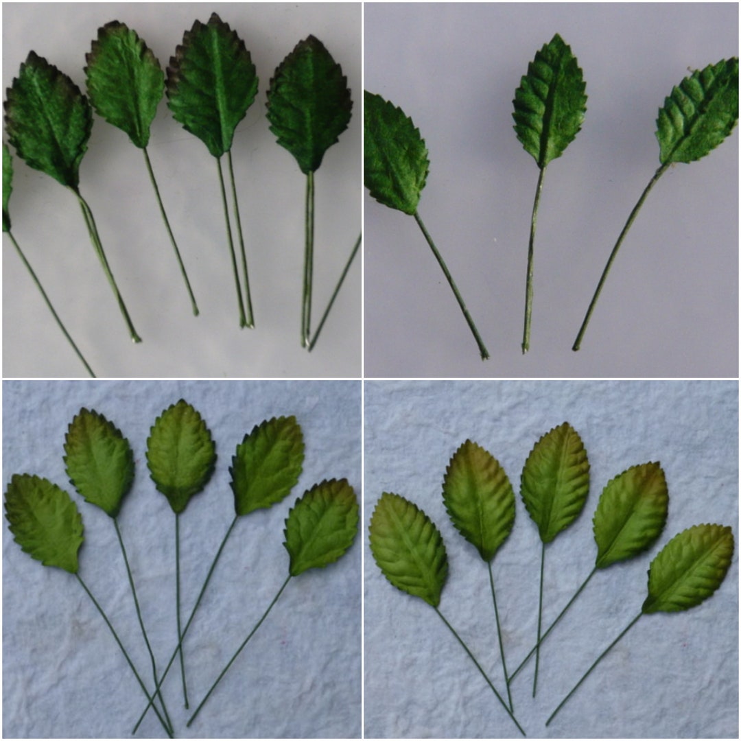 Promlee Flowers Green Paper Leaves - Leaves - Leaf Embellishments ...