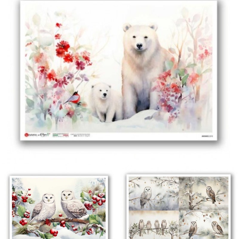 Decoupage Rice Paper Owls - Etsy