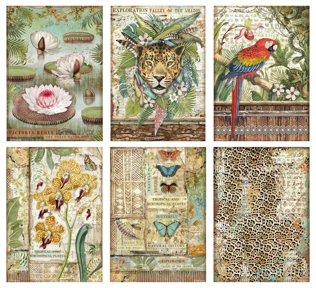 Stamperia CLEARANCE Amazonia A4 Rice Paper - Decoupage Rice Paper ...