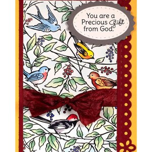 Spellbinders Frames and Borders Die Set - Stampendous - Border Die ...