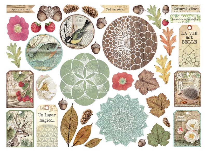 Stamperia Forest Die Cuts - Stamperia - Die Cuts - Die Cut Assortment ...