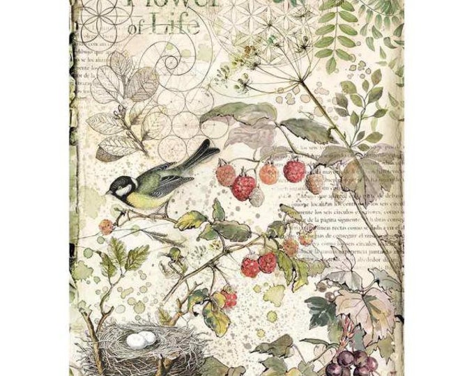 Flowers and Fruits A4 Rice Paper - Stamperia Rice Paper - Forest Rice ...