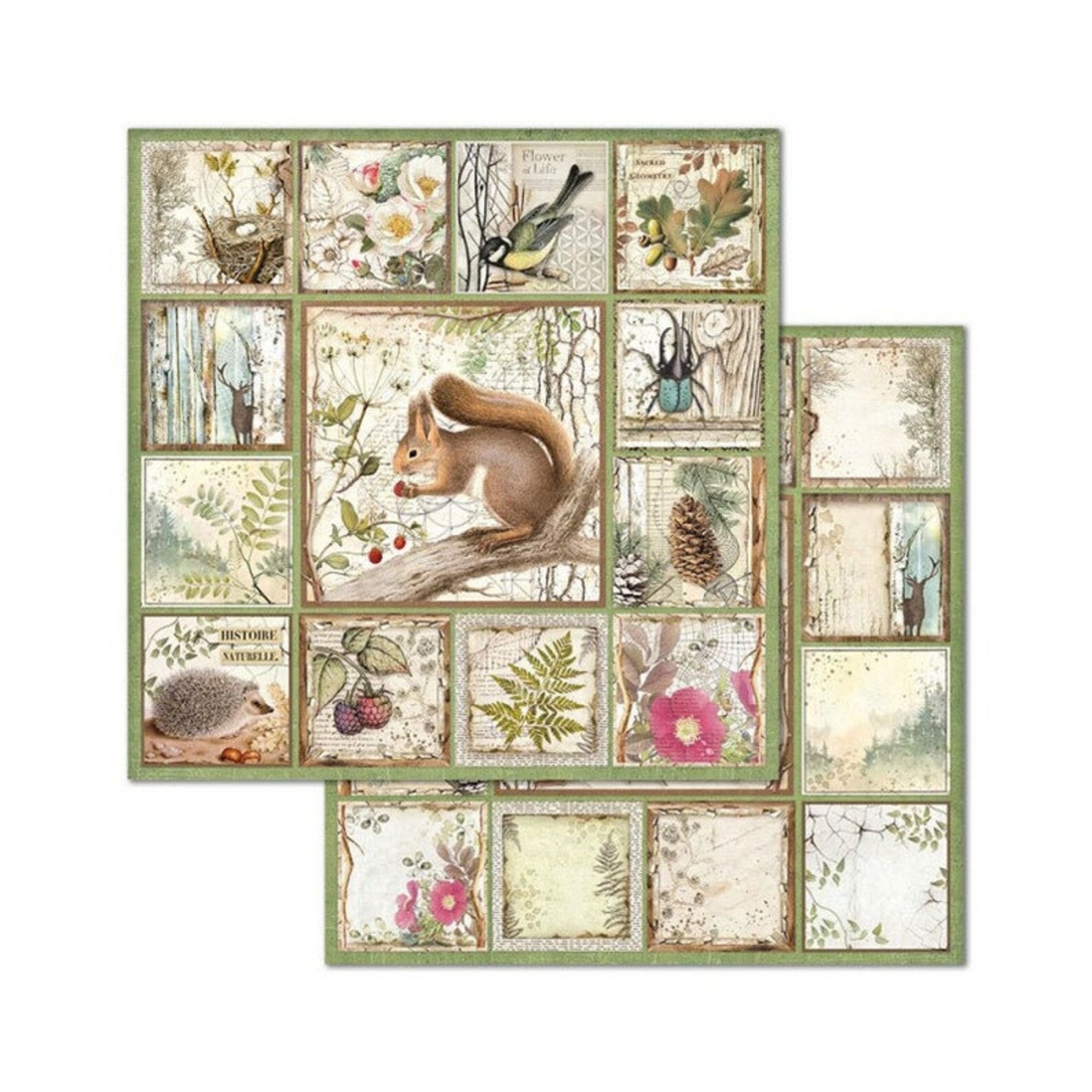Stamperia 8x8 Paper Pack Forest Paper Pack Double Sided - Etsy