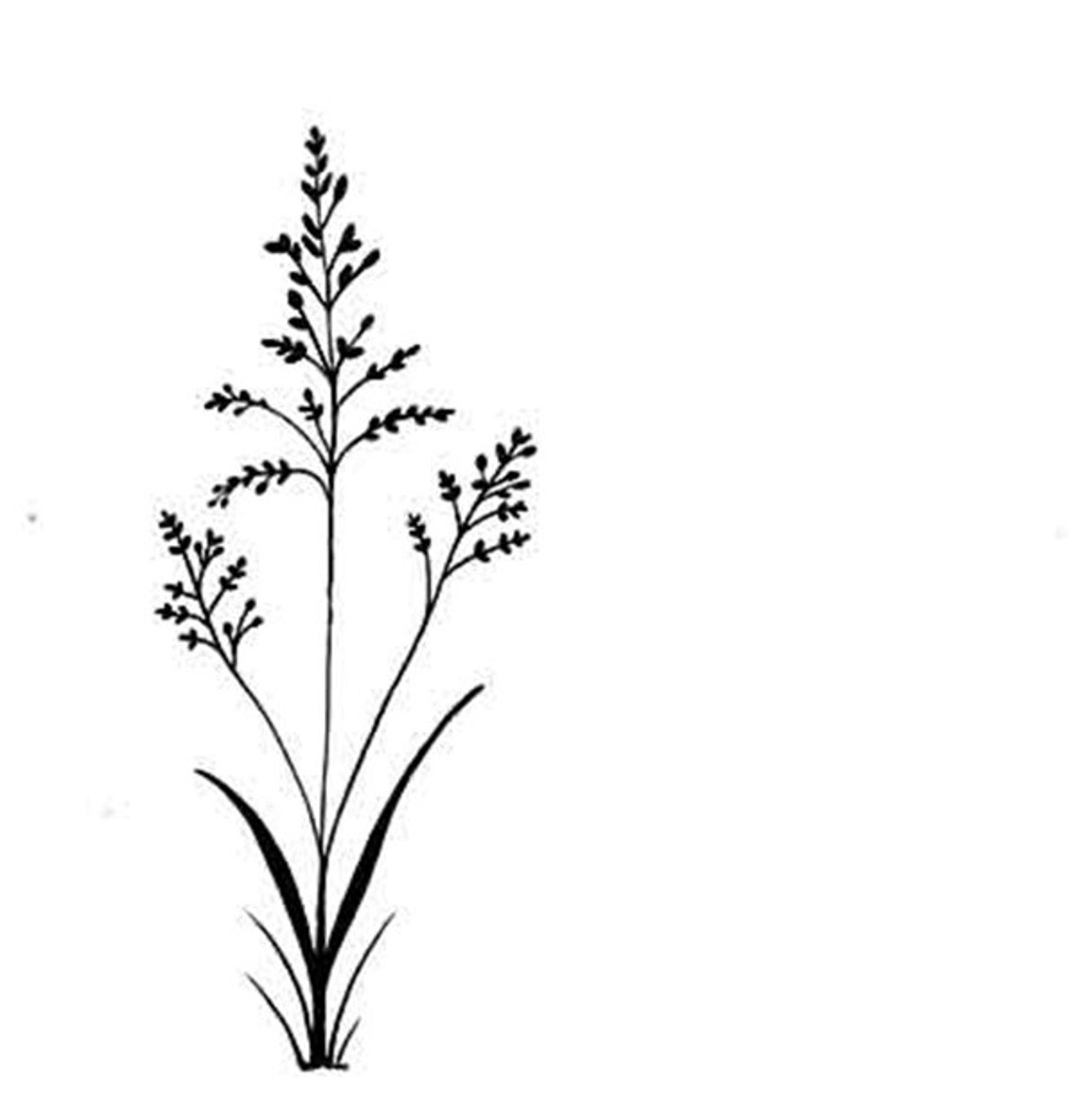 Lavinia Stamps Field Grass - Clear Cling Stamp - Grass Cling Stamp ...