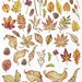 Mysterious Forest A4 Rice Paper Set - Rice Paper Set - Forest Rice ...