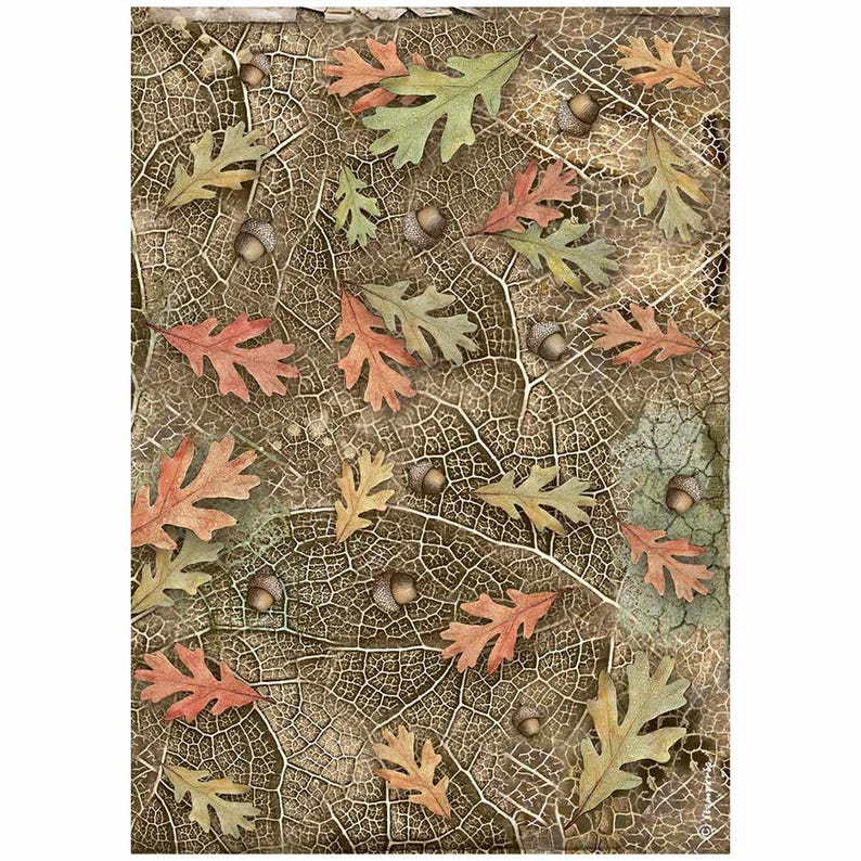 Stamperia A4 Forest Rice Paper - Decoupage Rice Paper - Forest Woods ...