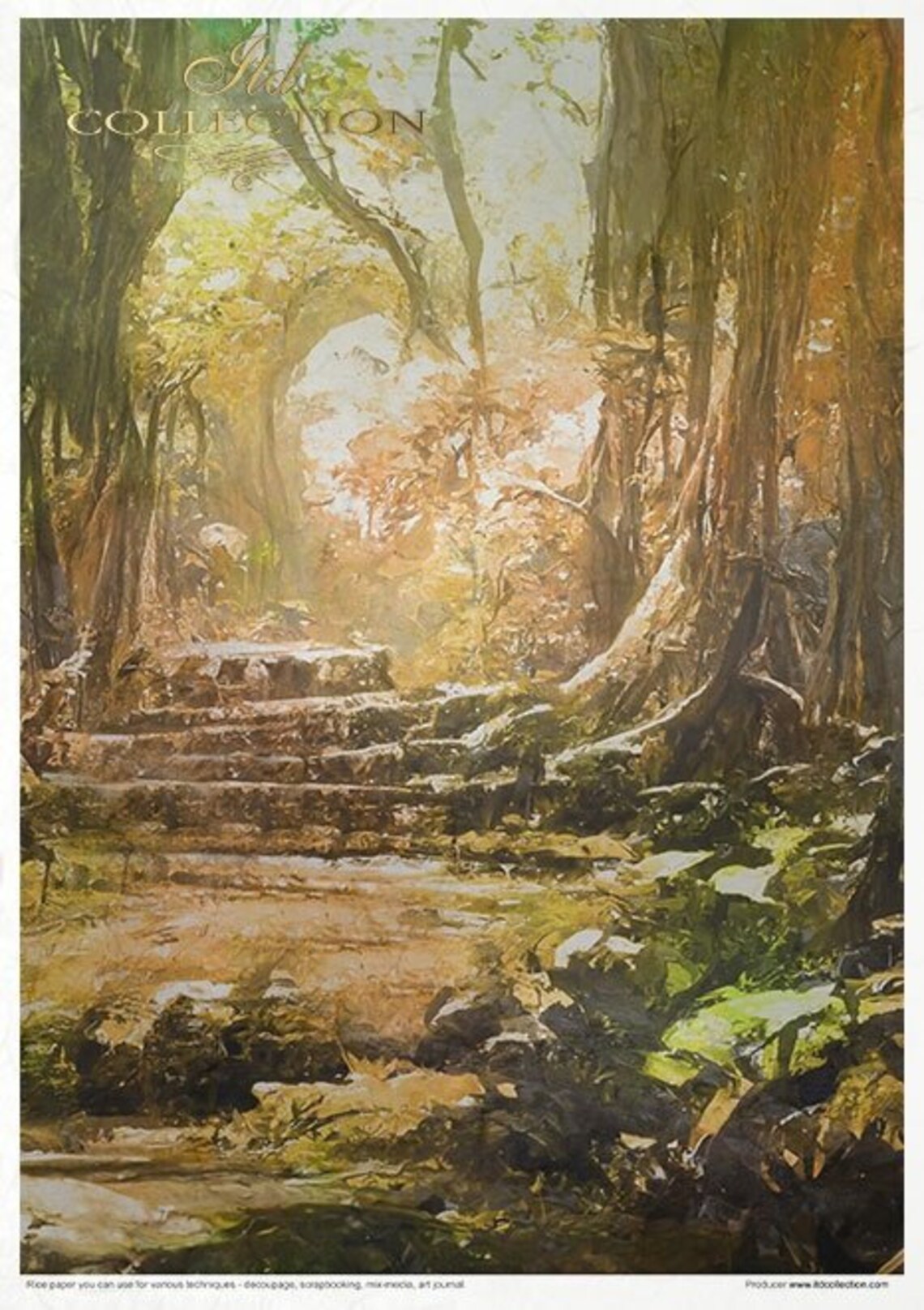 Mysterious Forest A4 Rice Paper Set - Rice Paper Set - Forest Rice ...