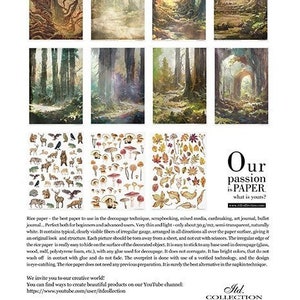 Mysterious Forest A4 Rice Paper Set - Rice Paper Set - Forest Rice ...