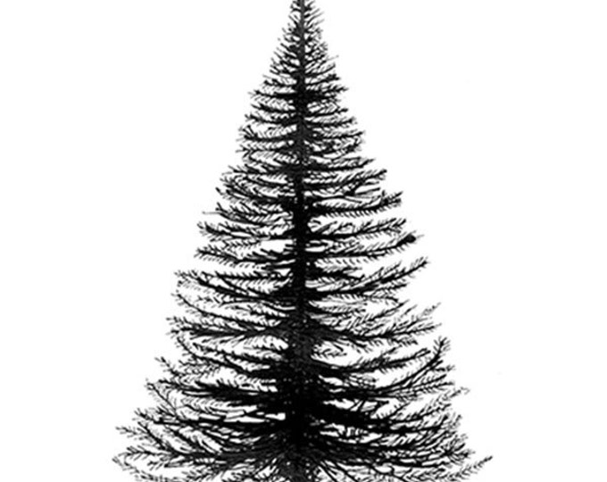 LIMITED STOCK - Lavinia Fir Tree Stamp - Fir Tree Stamp - Clear Cling ...