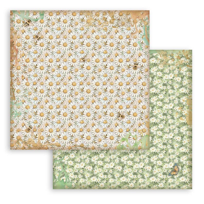 Stamperia 12x12 Daisy Art Background Cardstock - Double Sided Paper ...