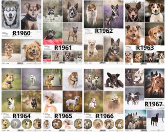 Animal Rice Paper | Etsy