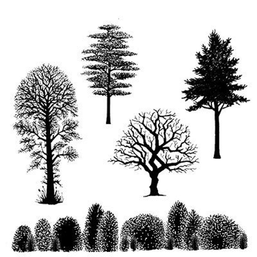 Lavinia Stamps Tree Scene - Tree Group Stamp - Clear Cling Stamp - Tree ...