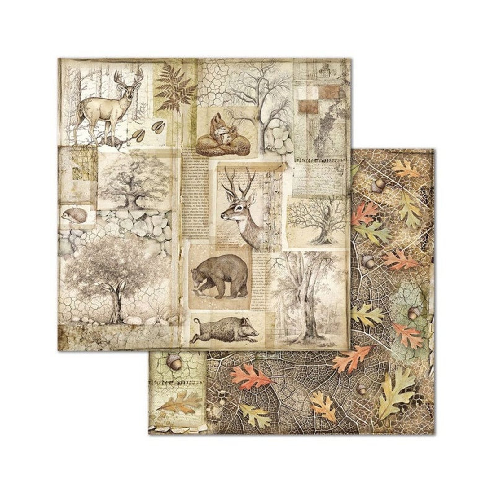 Stamperia 8x8 Paper Pack Forest Paper Pack Double Sided - Etsy