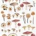 Mysterious Forest A4 Rice Paper Set - Rice Paper Set - Forest Rice ...