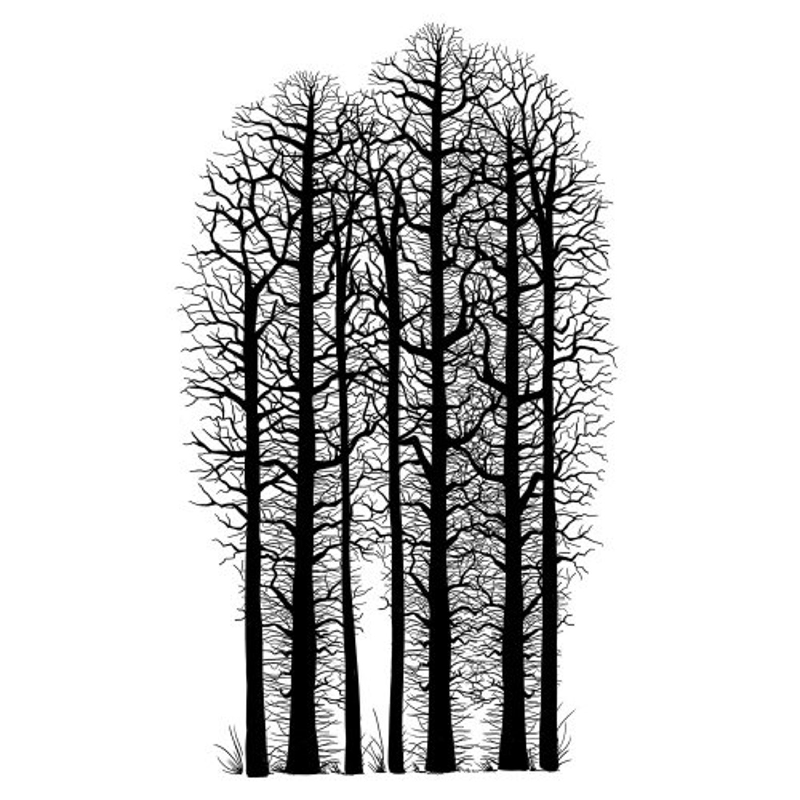 Lavinia Stamps Forest Scene - Forest Tree Group Stamp - Clear Cling ...