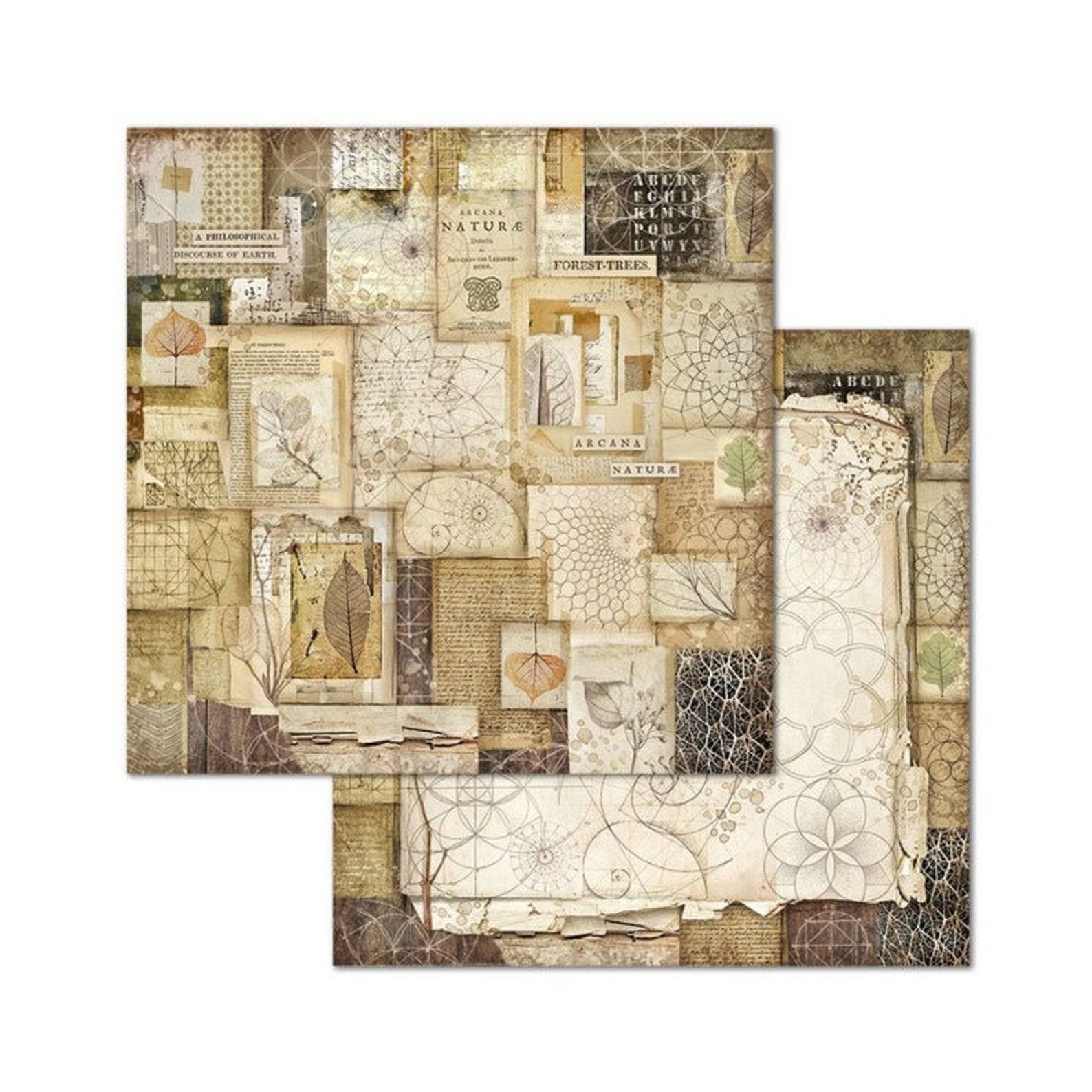 Stamperia 8x8 Paper Pack Forest Paper Pack Double Sided - Etsy