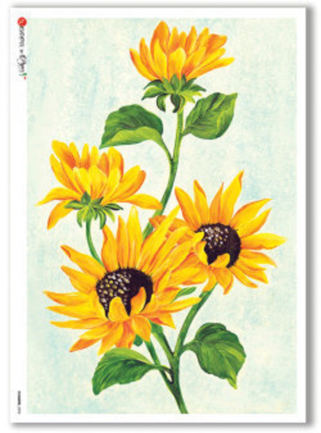 Paper Designs A5 Rice Paper Flowers-0092 - A5 Rice Paper - Flower Rice ...