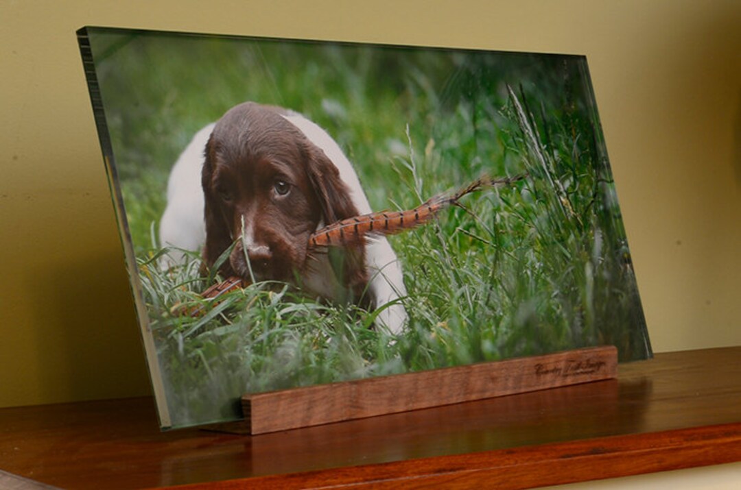 Modern & Sleek: 10mm Acrylic Photo Panel - Show off Your Captured ...