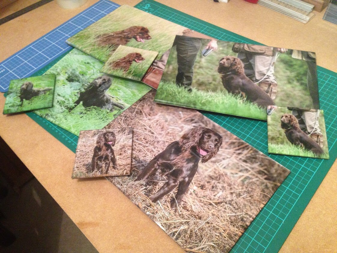 Acrylic Perspex Photo Coasters & Placemats New Home Pets | Etsy