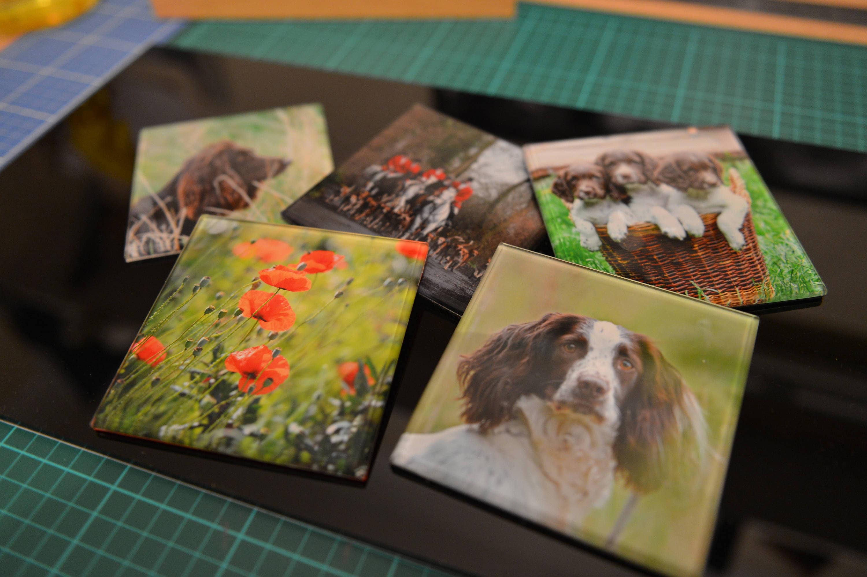 Acrylic Perspex Photo Coasters & Placemats new Home Pets - Etsy UK