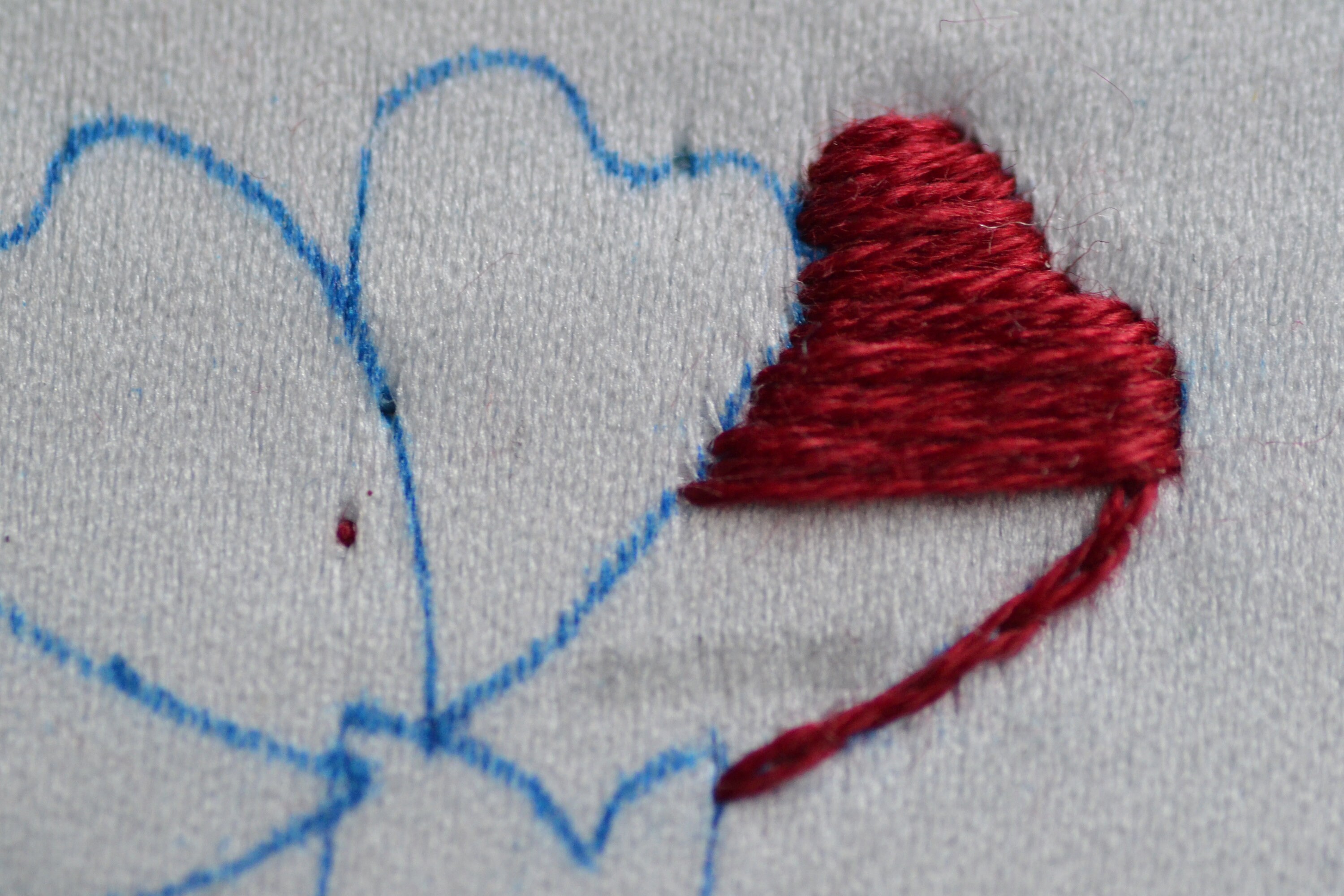 Dianthus Surface Embroidery Kit - Etsy