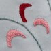 Dianthus Surface Embroidery Kit - Etsy