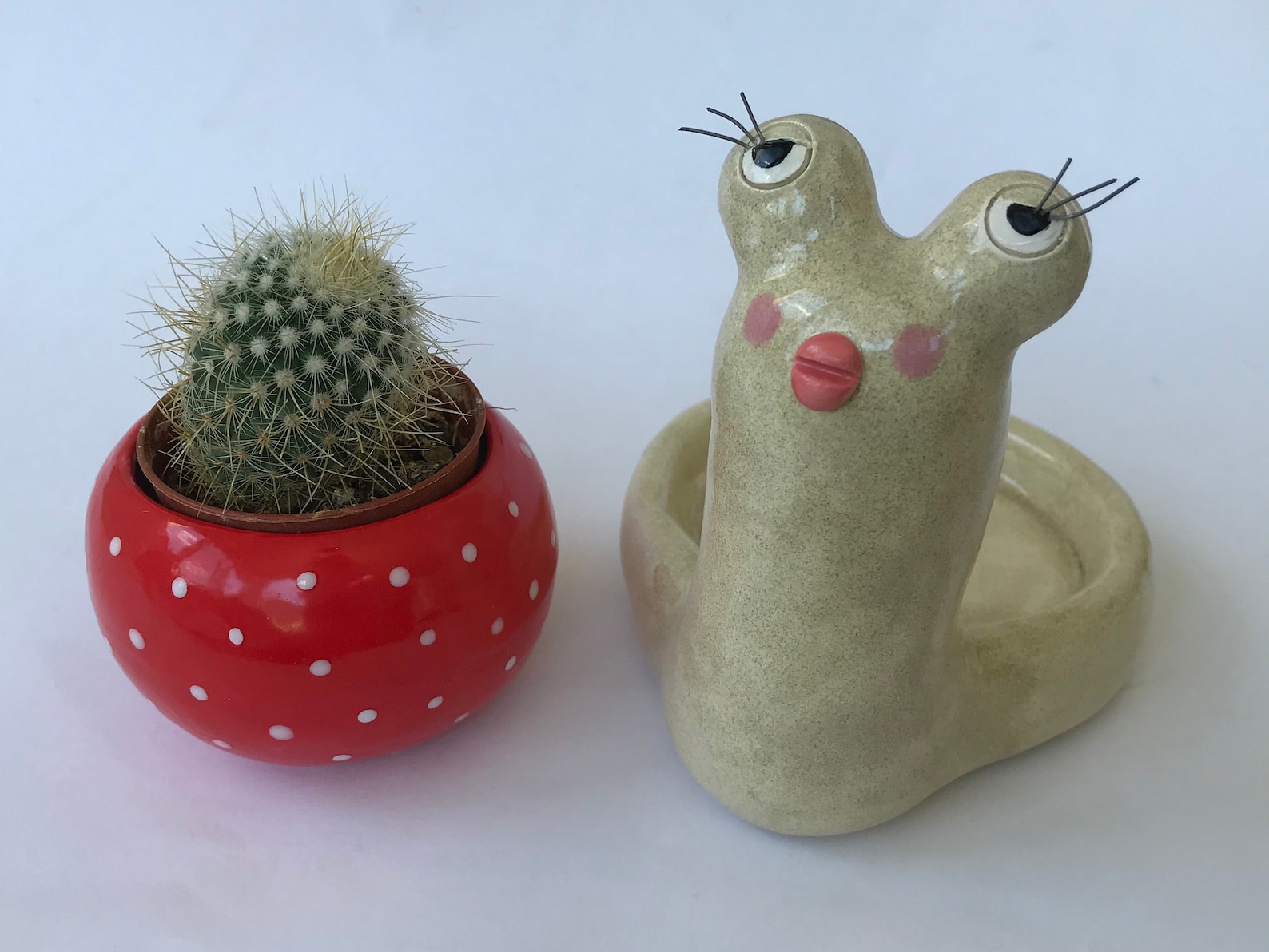 Handmade ceramic snail planter-succulent planter with drain | Etsy