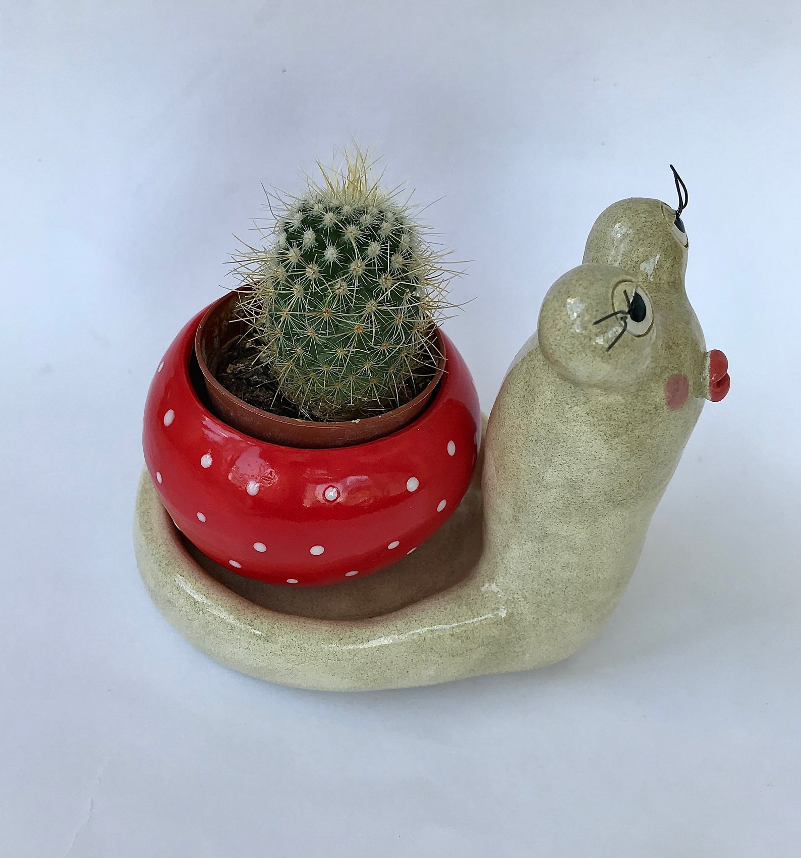 Handmade Ceramic Snail Planter-succulent Planter With Drain - Etsy