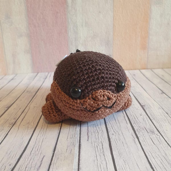 Clodsire Plush - Etsy