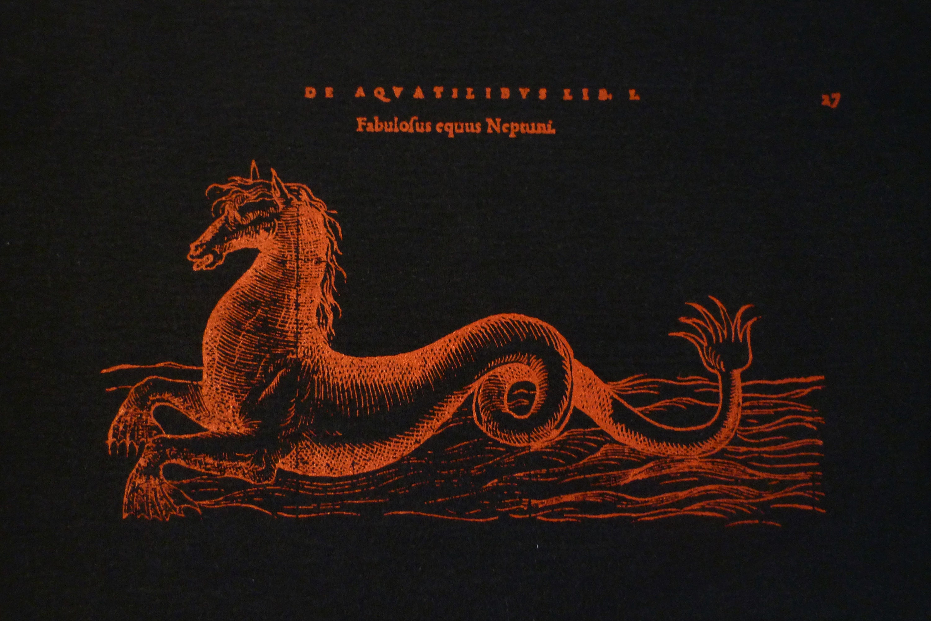 ANCIENT SEA MONSTER Vintage Book Image - Etsy