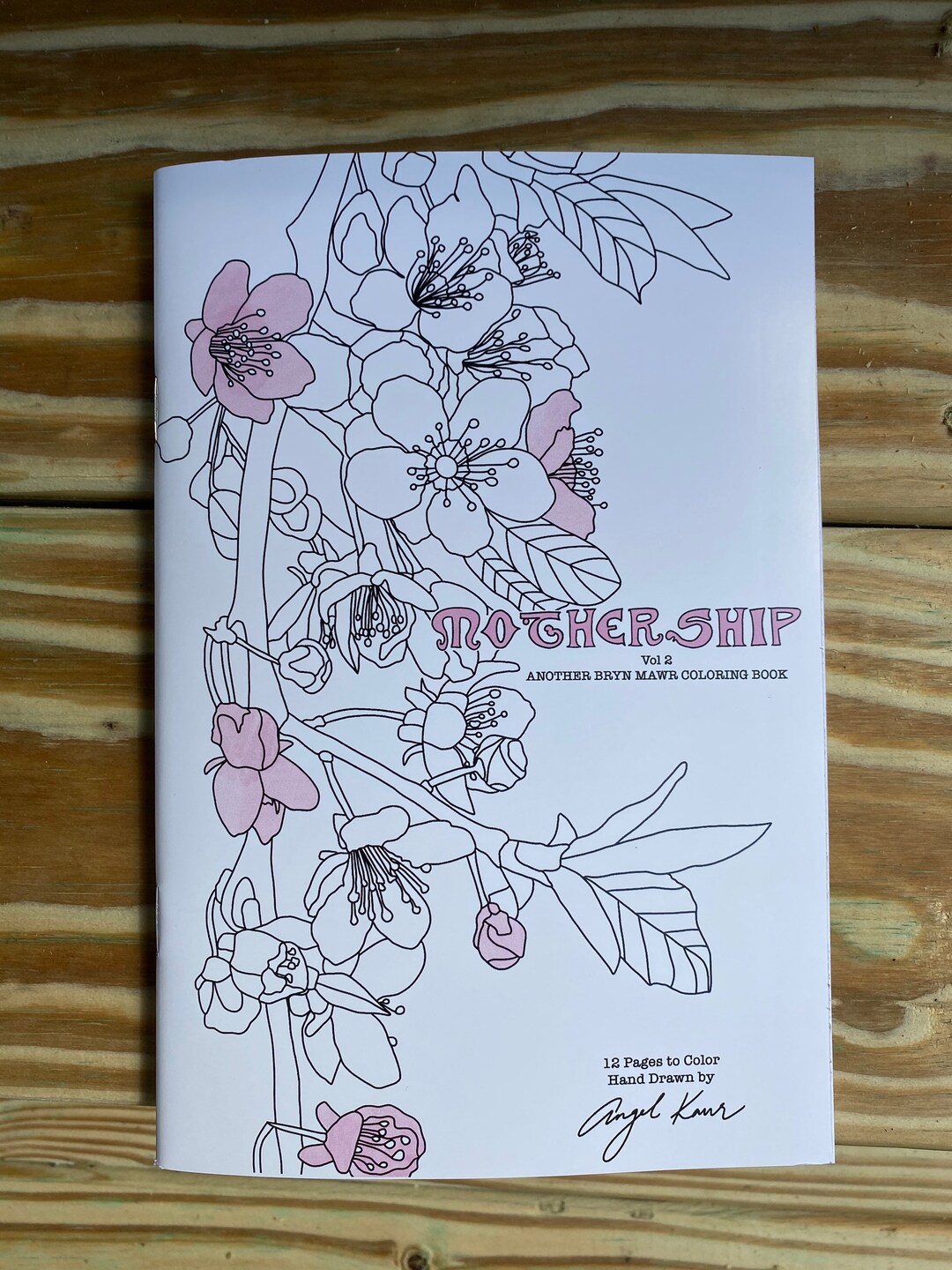 Mothership Vol2: Another Bryn Mawr Coloring Book - Etsy