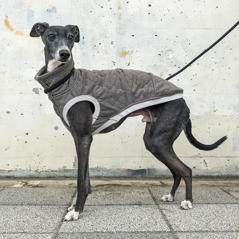 Greyhound Coats - Etsy