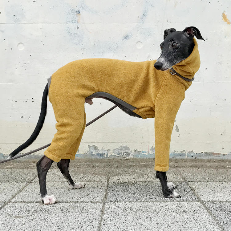 Italian Greyhound Clothing Fleece - Etsy UK