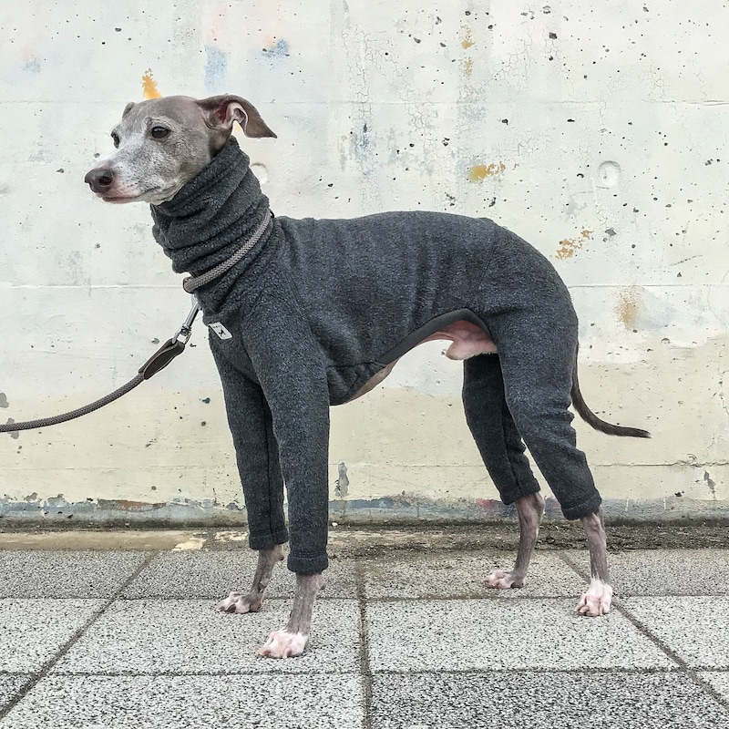 Gmzyst D Lthtdyt18 - Etsy New Zealand