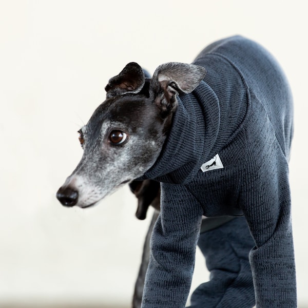 Italian Greyhound Clothing - Etsy