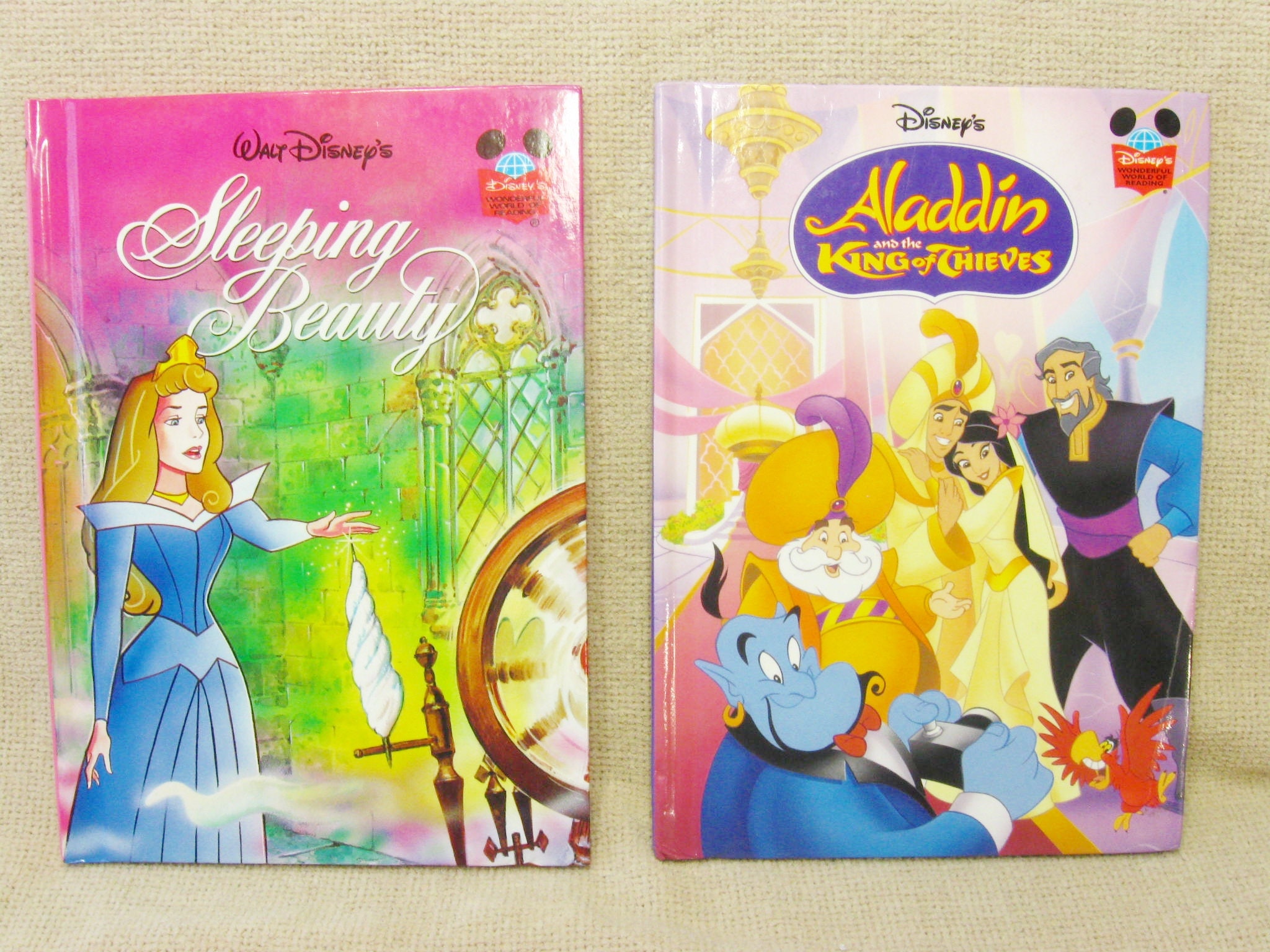 Sleeping Beauty Aladdin Disney Children Books Wonderful | Etsy