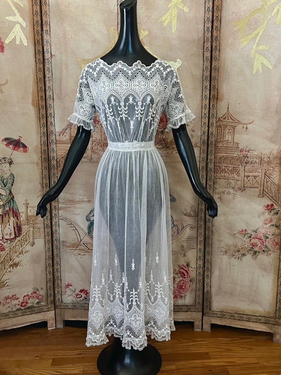 Antique Edwardian Embroidered Lace Net Dress, Raised … - Gem