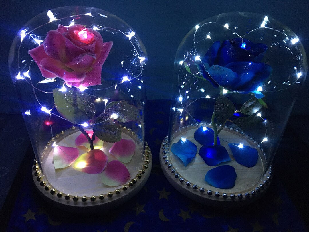 Baby Shower/gender Reveal/baby Birth Large ENCHANTED Rose Dome Beauty ...