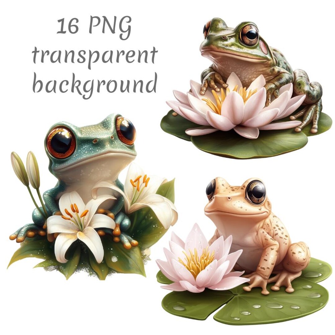 16 Realistic Green Frog Clipart PNG. Tree Frog Digital Download Junk ...
