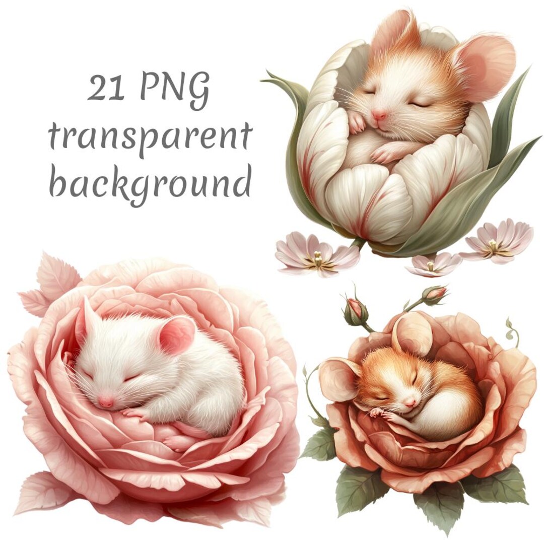 21 Sleeping Mouse in Flower Clipart PNG, Digital Download, Junk ...