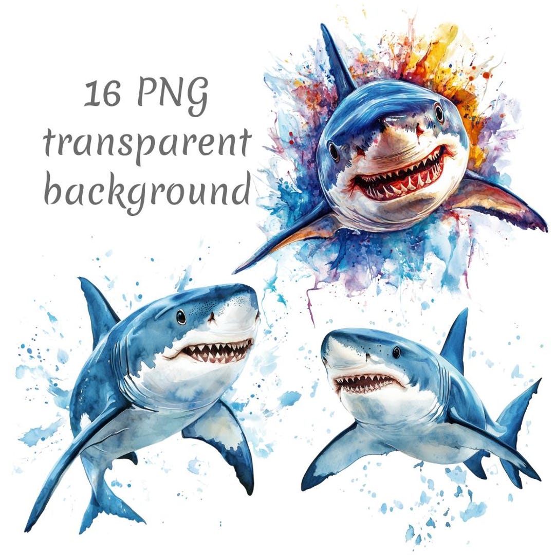 16 Shark Watercolor Clipart PNG. Sea Clipart, Digital Download, Junk ...