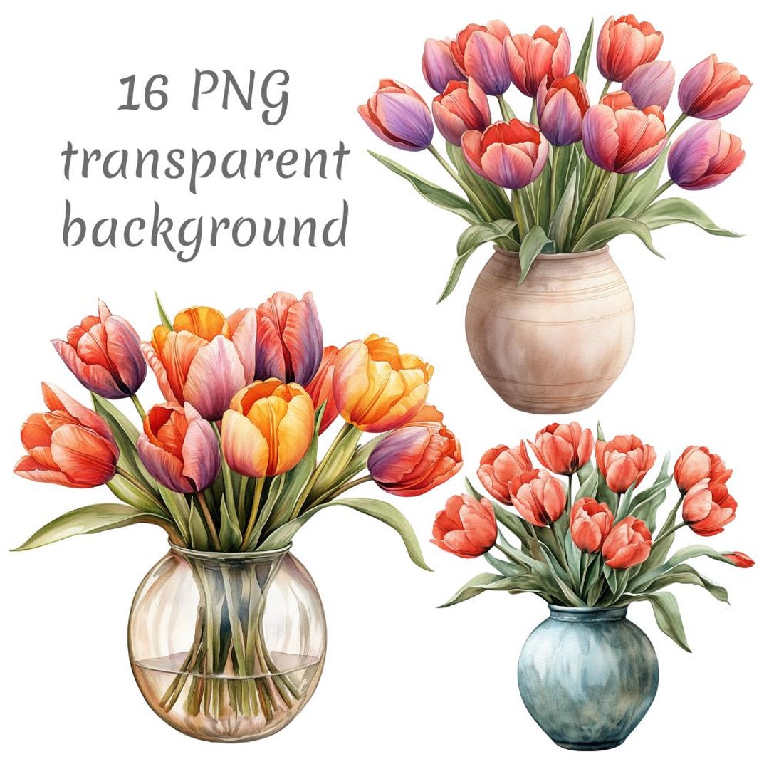 16 Tulip Vase Watercolor Clipart PNG. Digital Download, Junk Journals ...