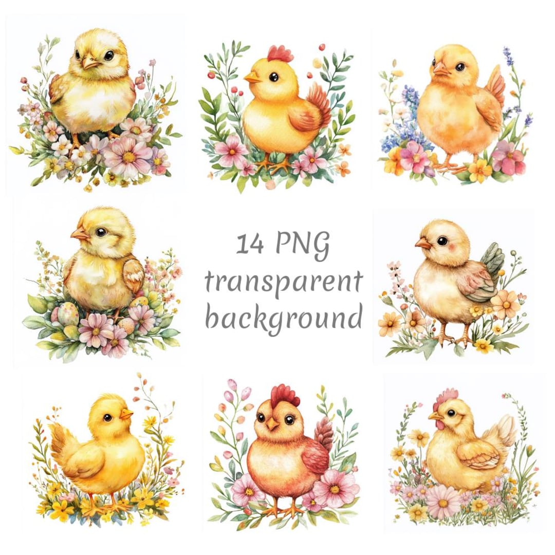 14 Easter Chicken Clipart PNG. Watercolor Chicken Clipart, Digital ...