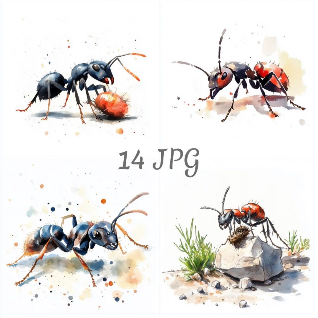 14 Ant Watercolor Clipart JPG, Digital Download, Junk Journals, Paper ...