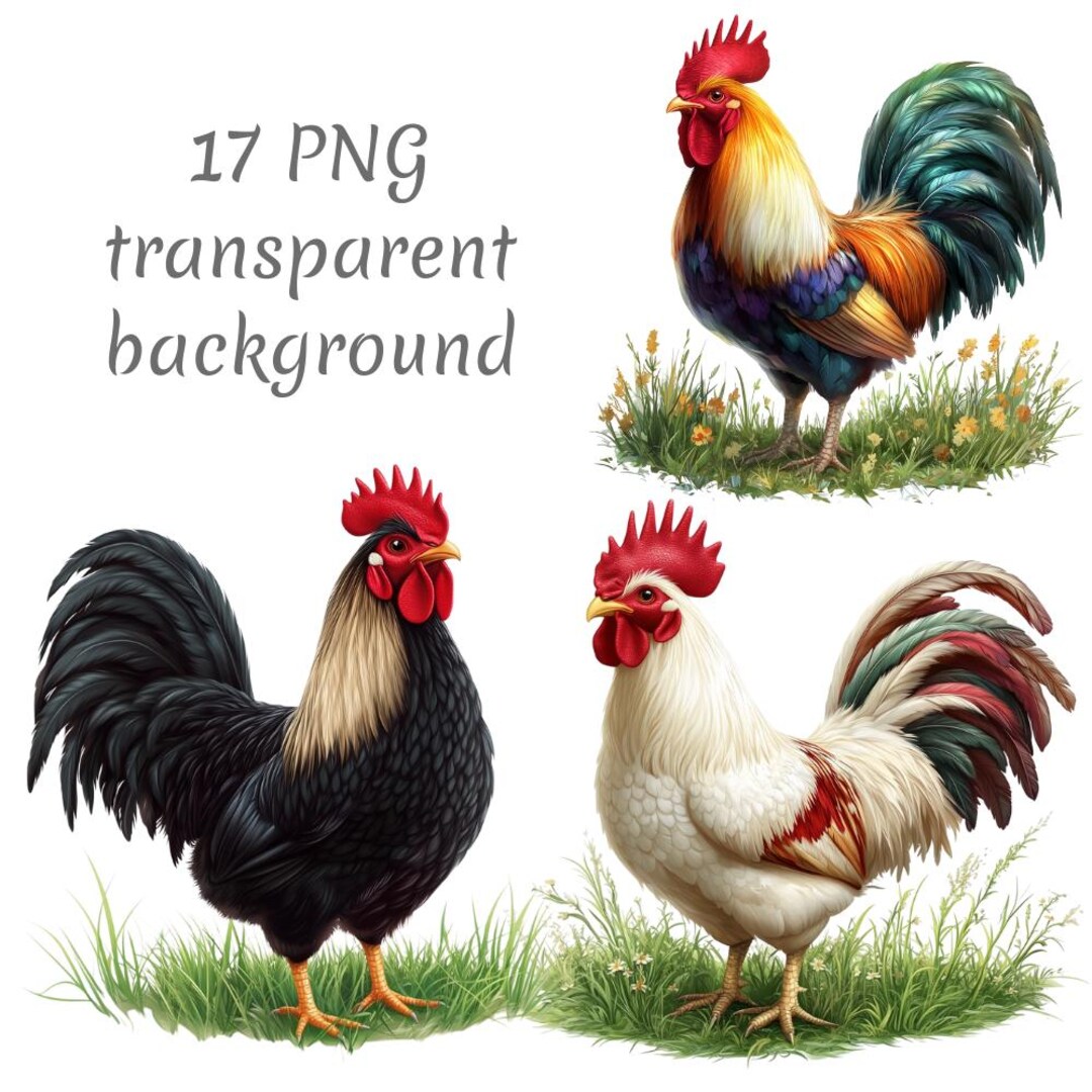 17 Realistic Rooster on Grass Clipart PNG, Digital Download, Junk ...
