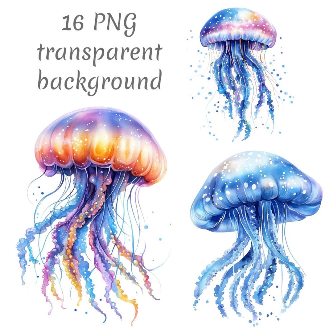 16 Jellyfish Watercolor Clipart PNG. Sea Clipart, Digital Download ...