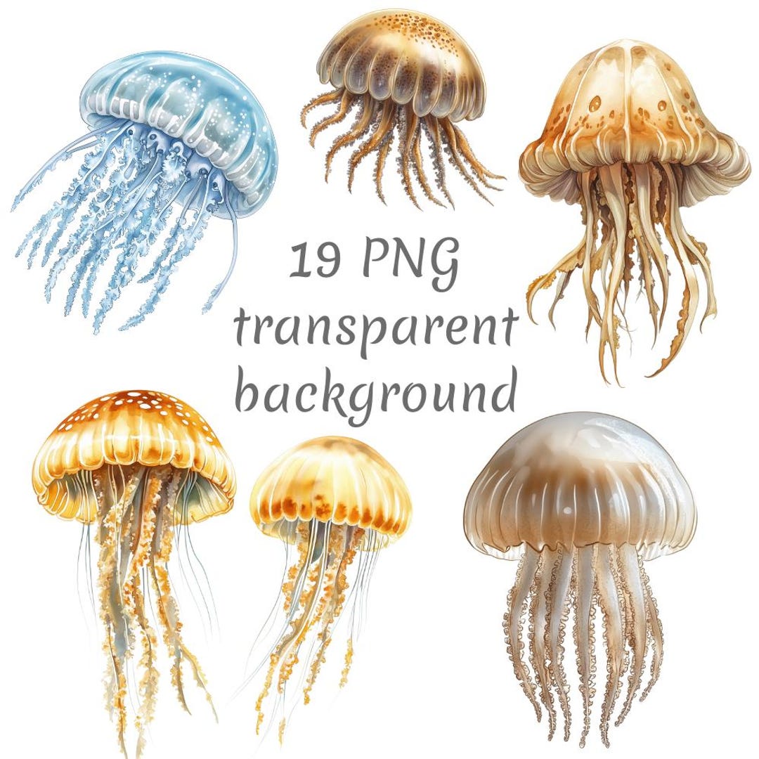 19 Jellyfish Watercolor Clipart PNG. Sea Clipart, Digital Download ...