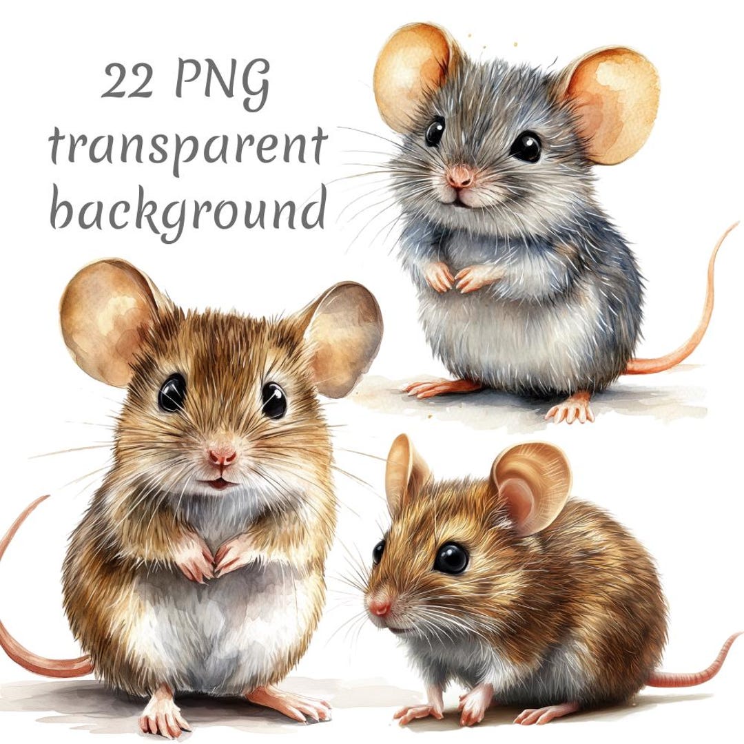 22 Realistic Mouse Clipart PNG, Digital Download, Junk Journals ...