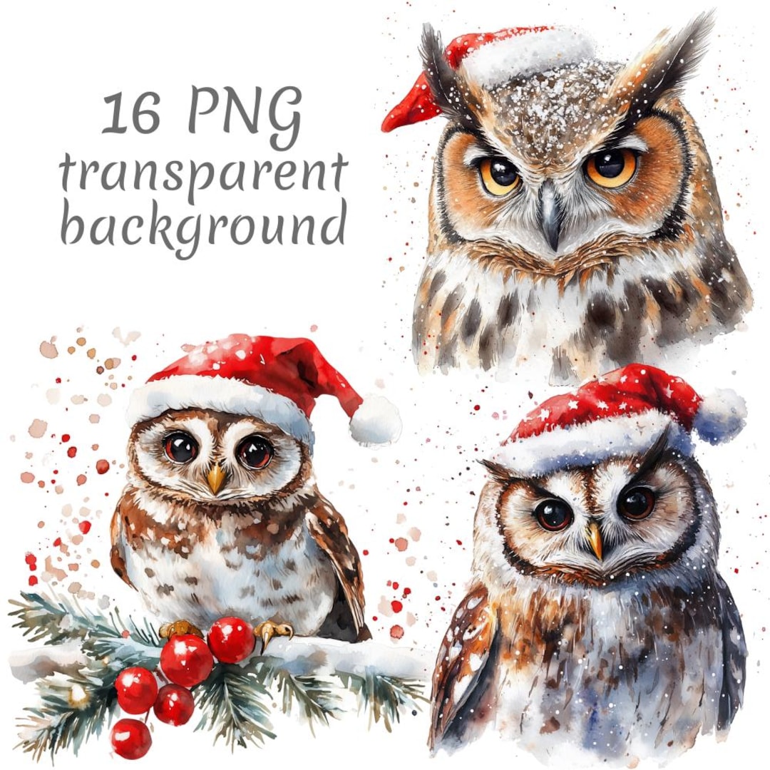 16 Christmas Owl Watercolor Clipart PNG. Digital Download Junk Journals ...